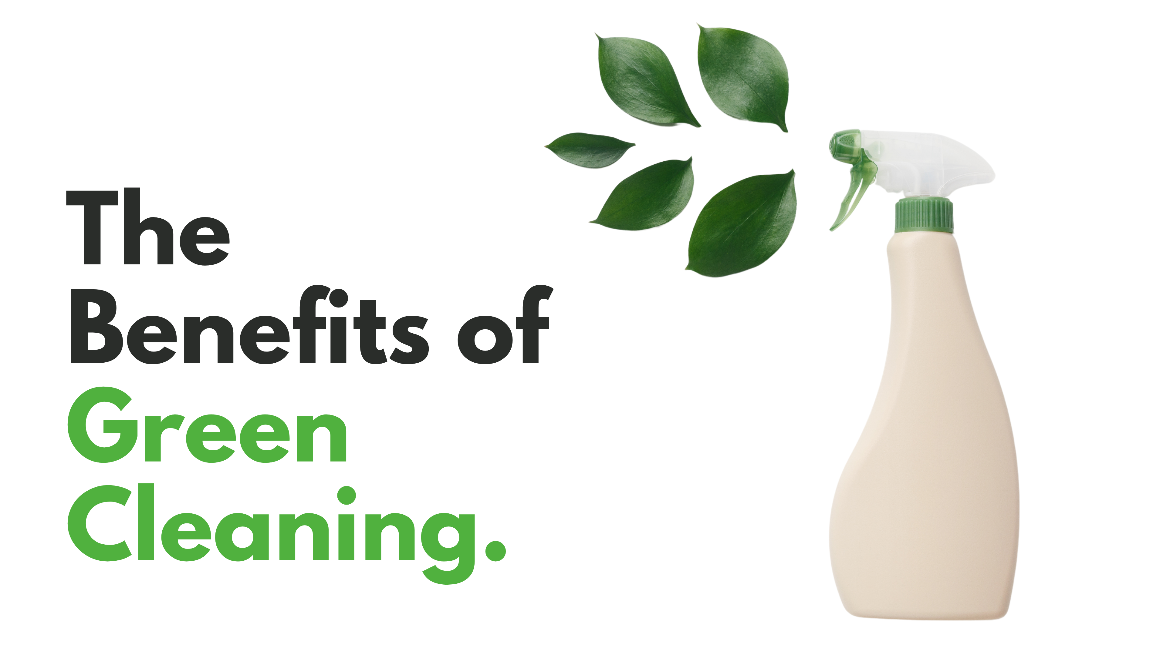 The Benefits of Green Cleaning Practices in the Workplace